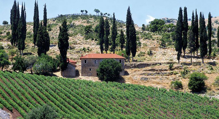 Greek Wine Regions | The Wine Connoisseurs | Wine Tours in Greece